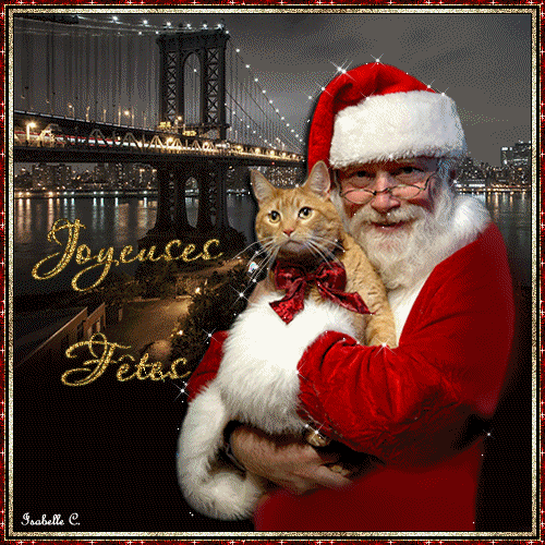 Père Noël - Chat