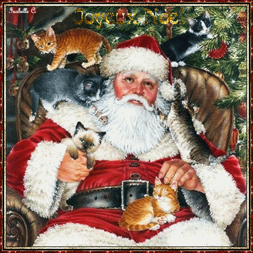 Père Noël - Chat